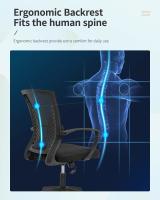 China Direct Gas Lift Office Chair with Waist Support Function and Maximum Weight of 300 Pounds for sale