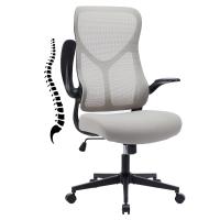 China High Back Mesh Chair with Flip-up Armrests and Lumbar Support Mail Packing Included for sale