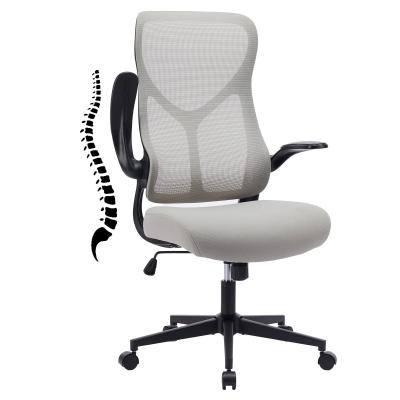 China High Back Mesh Chair with Flip-up Armrests and Lumbar Support Mail Packing Included for sale
