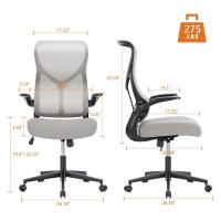 China High Back Mesh Chair with Flip-up Armrests and Lumbar Support Mail Packing Included for sale