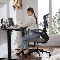 China High Back Mesh Chair with Flip-up Armrests and Lumbar Support Mail Packing Included for sale