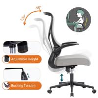 China High Back Mesh Chair with Flip-up Armrests and Lumbar Support Mail Packing Included for sale