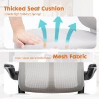 China High Back Mesh Chair with Flip-up Armrests and Lumbar Support Mail Packing Included for sale