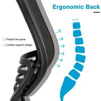 China Office Chair Ergonomic Mesh Computer Chair with Adjustable Armrests and Height for sale
