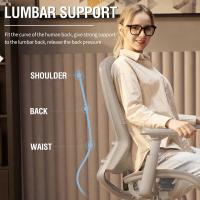 China Adjustable Lumbar Support Armrests Mesh Office Chair Sturdy Task Chair with Solid Back for sale