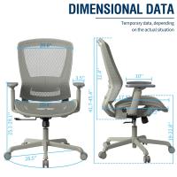China Adjustable Lumbar Support Armrests Mesh Office Chair Sturdy Task Chair with Solid Back for sale