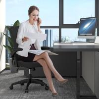China Modern Design Mid Back Office Chair with Adjustable Height Swivel and Lumbar Support for sale