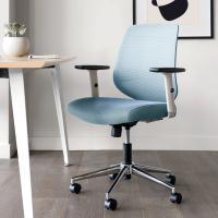 China Swivel Mesh Office Chair with Lumbar Rest and Adjustable Armrests Item Weight 30 Pounds for sale