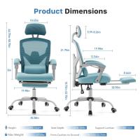 China 3 Gas Lift Ergonomic High Back Office Chair with Lumbar Pillow and Retractable Footrest for sale