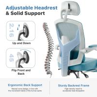 China 3 Gas Lift Ergonomic High Back Office Chair with Lumbar Pillow and Retractable Footrest for sale