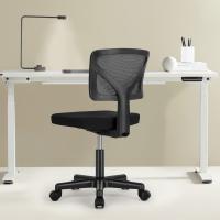 China Comfortable Low-Back Mesh Chair with Lumbar Support and Adjustable Seat Height for sale