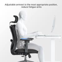 China 2D Armrest Lumbar Support Adjustable Headrest Swivel Tilt Office Chair for Big and Tall People for sale
