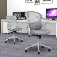 China Mail packing Y Ergonomic Mesh Computer Desk Chair with Lumbar Support and Flip-up Arms for sale