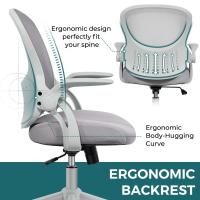 China Mail packing Y Ergonomic Mesh Computer Desk Chair with Lumbar Support and Flip-up Arms for sale