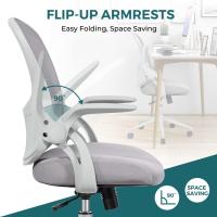 China Mail packing Y Ergonomic Mesh Computer Desk Chair with Lumbar Support and Flip-up Arms for sale