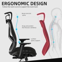 China 3 Gas Lift Ergonomic High Back Office Chair with Dynamic Seat Design Style Modern for sale