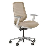 China Recliner Function Home Office Chair with Adjustable Lumbar Support and 360 Swivel for sale