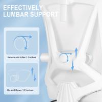 China Executive High Back Office Chair with 360 Swivel and Adjustable 2D Lumbar Support for sale