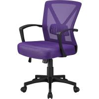 China 3 Gas Lift Ergonomic Office Chair with Customized Color and Adjustable Lumbar Support for sale
