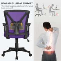 China 3 Gas Lift Ergonomic Office Chair with Customized Color and Adjustable Lumbar Support for sale