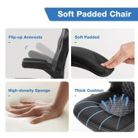 China 3 Gas Lift Ergonomic Office Chair with Padded Flip-up Armrests and Customized Color for sale