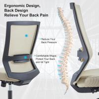 China Alloy Steel Frame Ergonomic Mesh Executive Swivel Desk Chair with Lumbar Support for sale