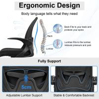 China Flip-up Armrests Executive Ergonomic Chair with Lumbar Support and Metal Type Iron for sale