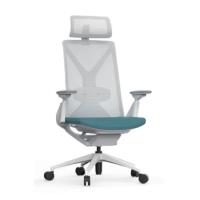 China High Elasticity Mesh Backrest Adjustable Ergonomic Computer Mesh Swivel Office Chair for sale