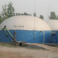China Sphere Roof Top Double Membrane Gas Holder for Biogas Storage - Custom Capacity & Pressure Options for sale