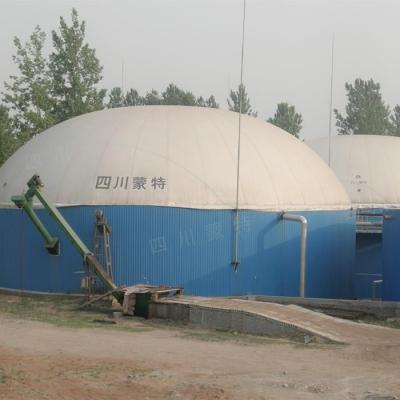 China Sphere Roof Top Double Membrane Gas Holder for Biogas Storage - Custom Capacity & Pressure Options for sale