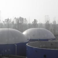 China Sphere Roof Top Double Membrane Gas Holder for Biogas Storage - Custom Capacity & Pressure Options for sale