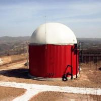 China MDS Dual Membrane Gas Balloon for Digester Systems - High Pressure Biogas Storage with Quick Installation for sale