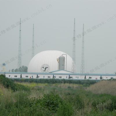 China Dual Layer Membrane Gas Balloon for Biogas Plants - Custom Sizes up to 1800+ m³ Capacity with 3-Year Membrane Warranty for sale