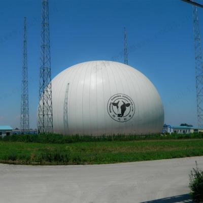 China Ground Mounted Double Membrane Biogas Storage Tank - Shockproof Design for 100-5000 m³ Capacity at 2-20 Kpa Pressure for sale