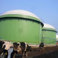 China Roof Top Double Membrane Biogas Storage Tanks - 15-25 Year Design Life, ISO 9001 Certified Industrial Gas Systems for sale
