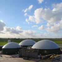 China Quick Installation Dual Membrane Biogas Balloon For Biogas Project Anti UV for sale
