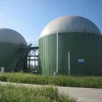 China Sphere Shape Dual Membrane Biogas Storage Tanks Leak Proof for sale