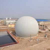 China Free Standing Dual Membrane Biogas Balloon for sale