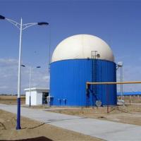 China PVC Cover Round Shapes Biogas Storage Tanks Spark Resistant Fast Installation for sale