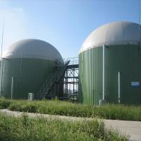 China Customized White Dual Membrane Biogas Dome / Biogas Balloon 50 – 20000m3 for sale