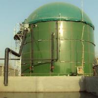 China Green Color Dual Membrane Biogas Dome Gas Holder Anti Corrosion Shockproof for sale