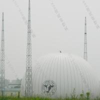 China Sphere Air Supported Structure Biogas Holder with Double Membrane for sale