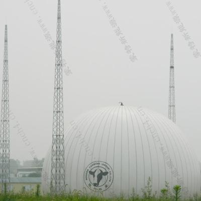 China Sphere Air Supported Structure Biogas Holder with Double Membrane for sale
