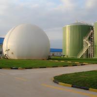 China Free Standing Double Membrane Biogas Balloon for sale