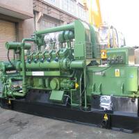 China customized high performance Biogas Generator Set Water Cooled For Electricity for sale