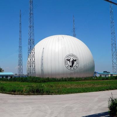 China Standalone Double Membrane Biogas Holder 20-20000m³ Capacity for Renewable Energy Storage Systems for sale