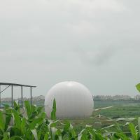 China 2000m³ Free Standing Dual Membrane Biogas Balloon with 20-20,000m³ Capacity and 20-Year Service Life for sale