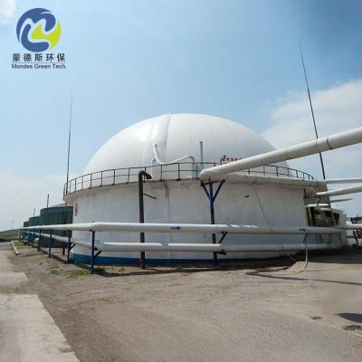China PVC Coated Dual Membrane Biogas Storage Balloon 10-25 m³ Capacity for Renewable Energy Systems for sale