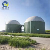 China Double Layer Biogas Balloon for Landfill Gas Storage - 20-25 Year Lifespan, 500 m³ Capacity, H₂S Resistant for sale