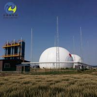 China High Capacity Double Membrane Gas Holder with Customized Size and Automatic Control for Biogas Storage for sale